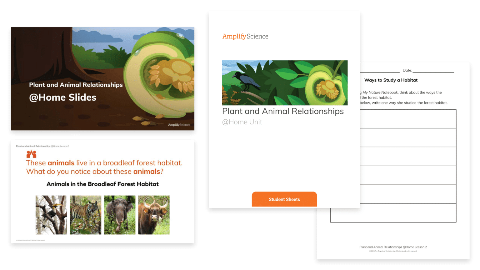 Amplify Science – Amplify