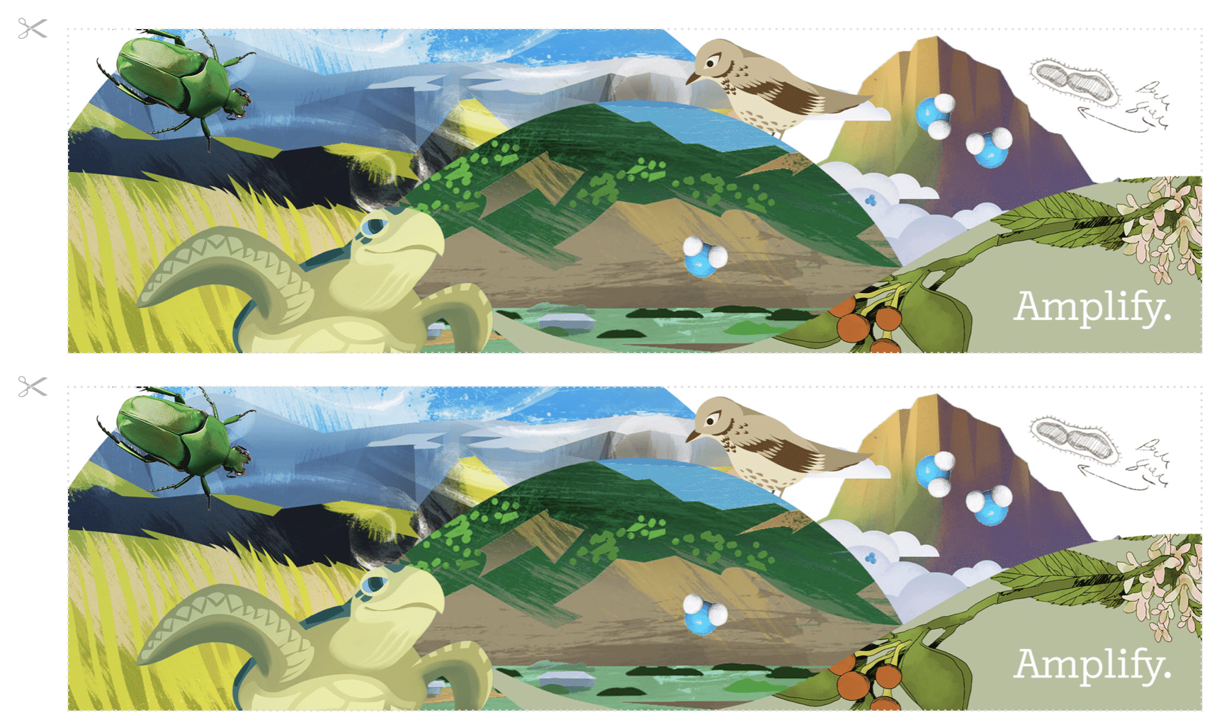 FREE Amplify Downloadable Resources – Amplify