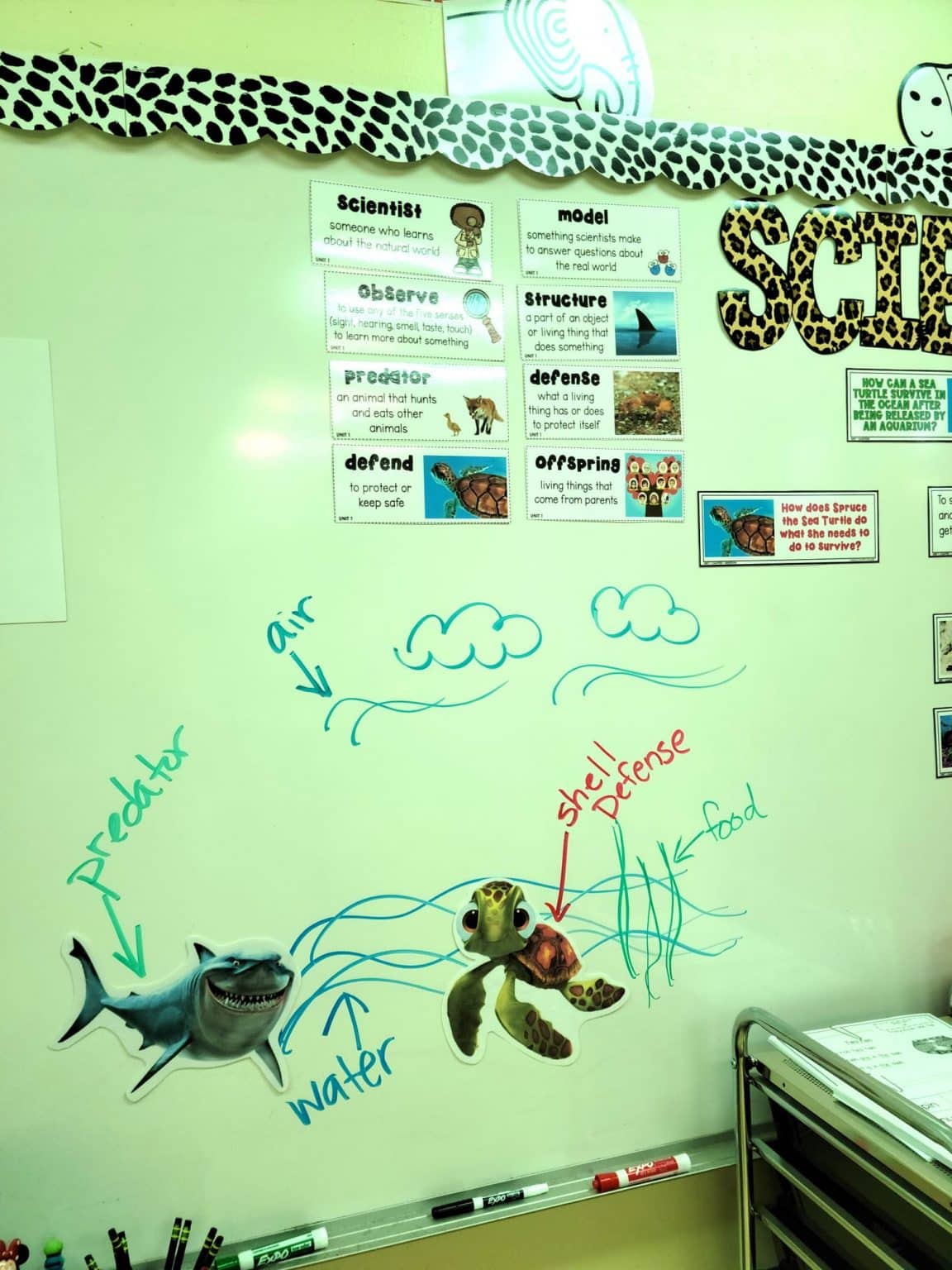 The Amplify Science classroom showcase – Amplify