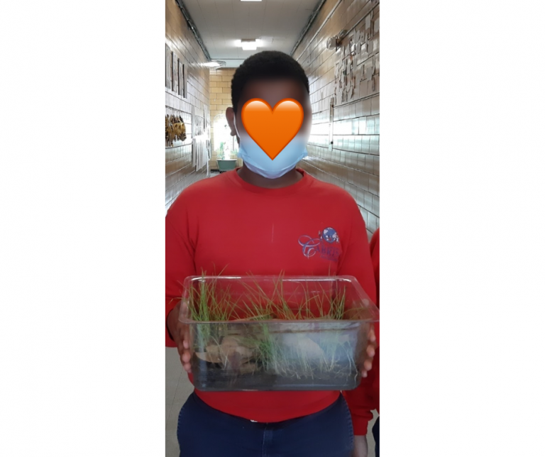 The Amplify Science classroom showcase – Amplify